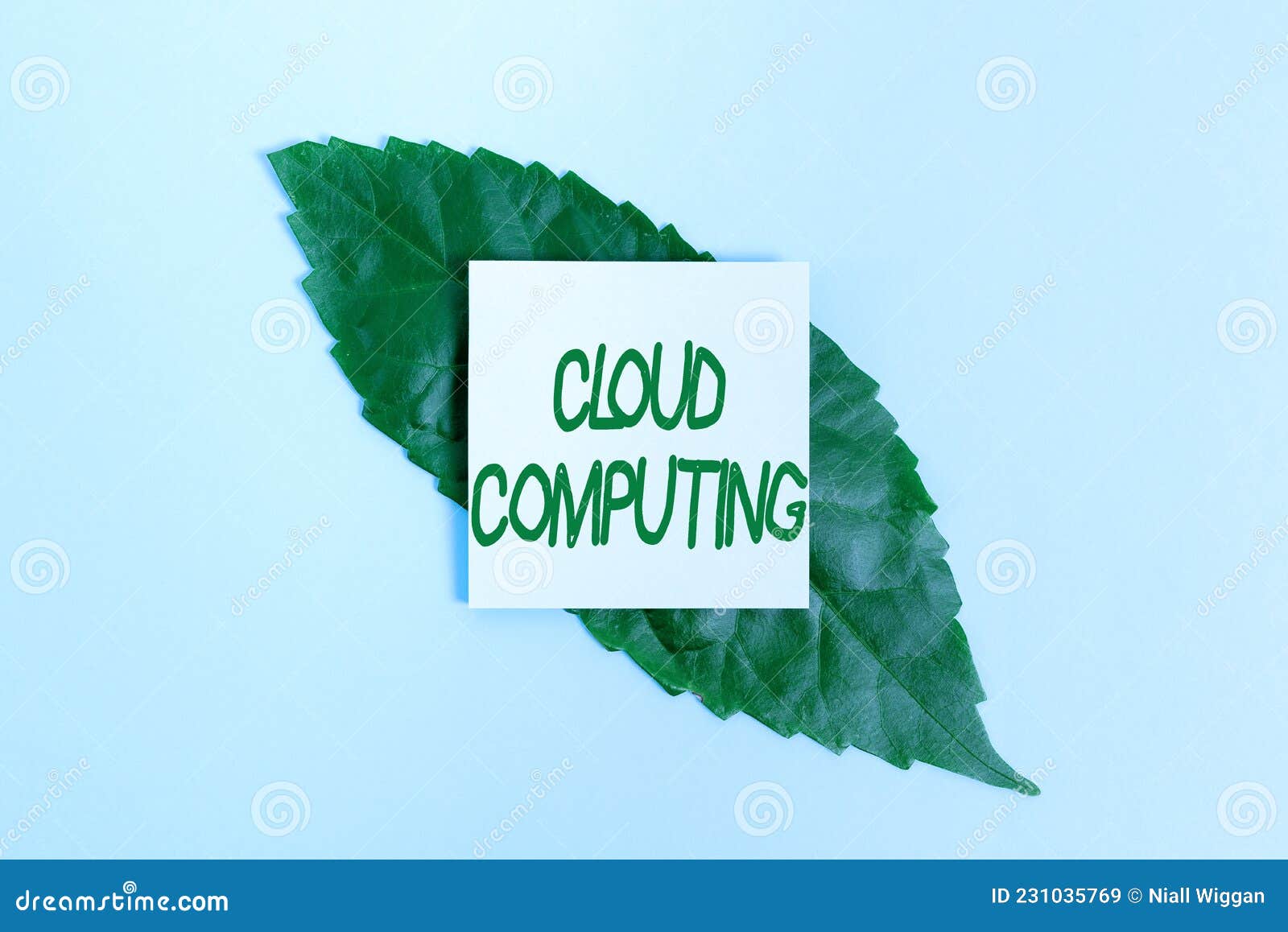 Text Sign Showing Cloud Computing Business Approach Use A Network Of