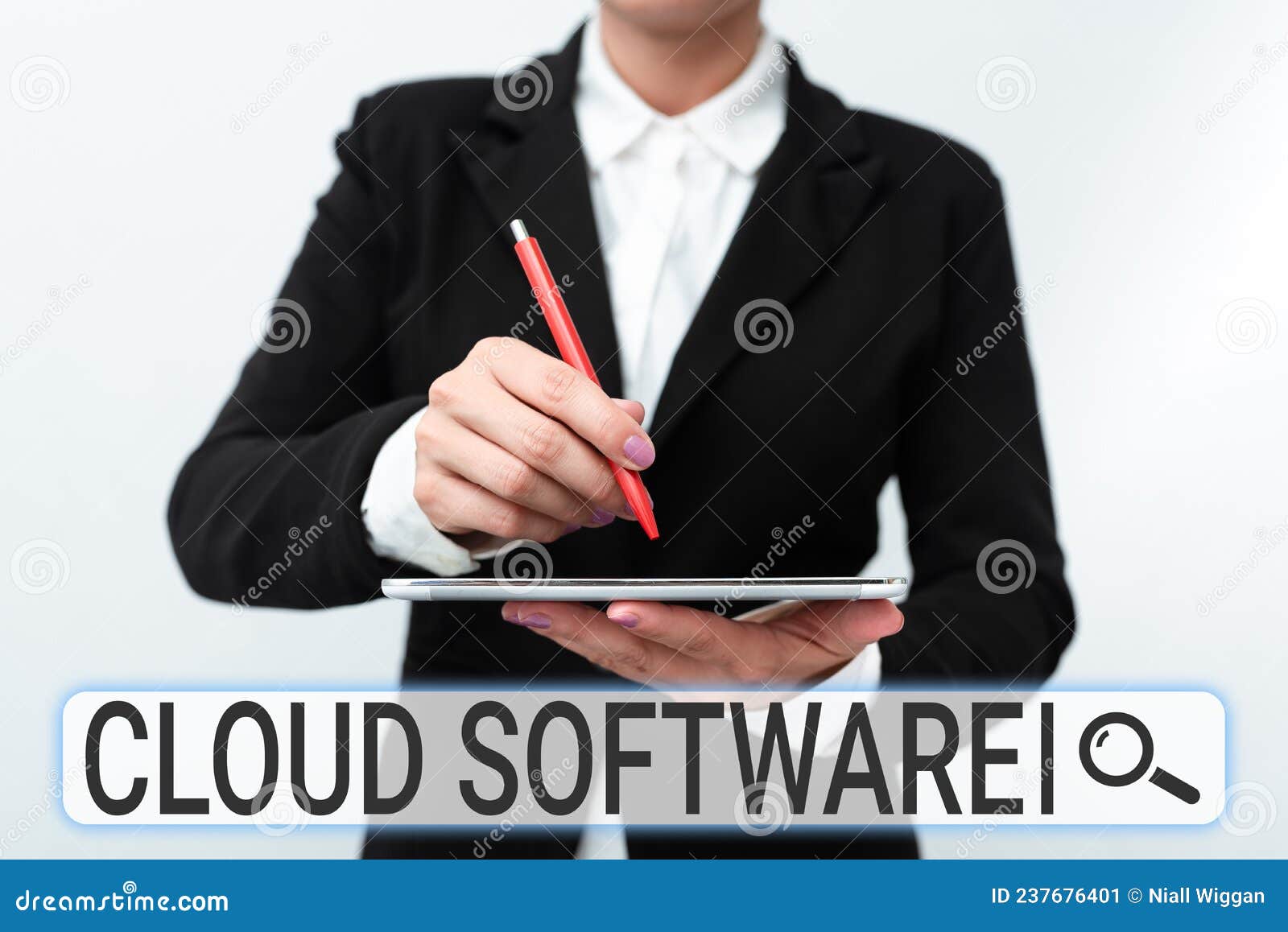 Writing Displaying Text Cloud Software. Word Written on Programs Used in Storing Accessing Data ...