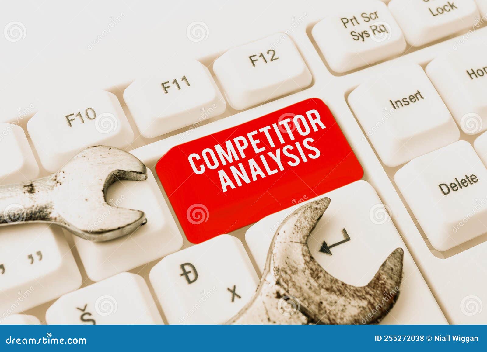 Writing Displaying Text Competitor AnalysisDetermine the Strength ...