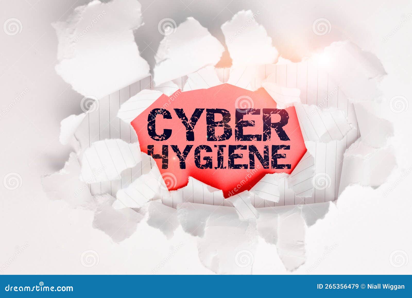 Writing Displaying Text Cyber Hygiene. Business Showcase Steps that ...