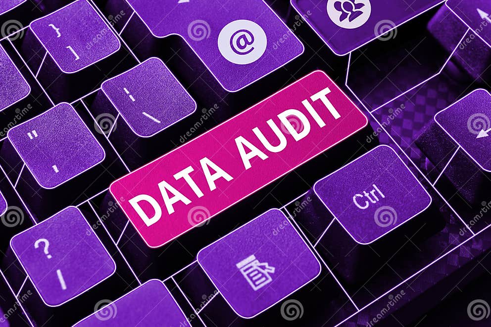 Writing Displaying Text Data Audit. Business Showcase Auditing of Data ...