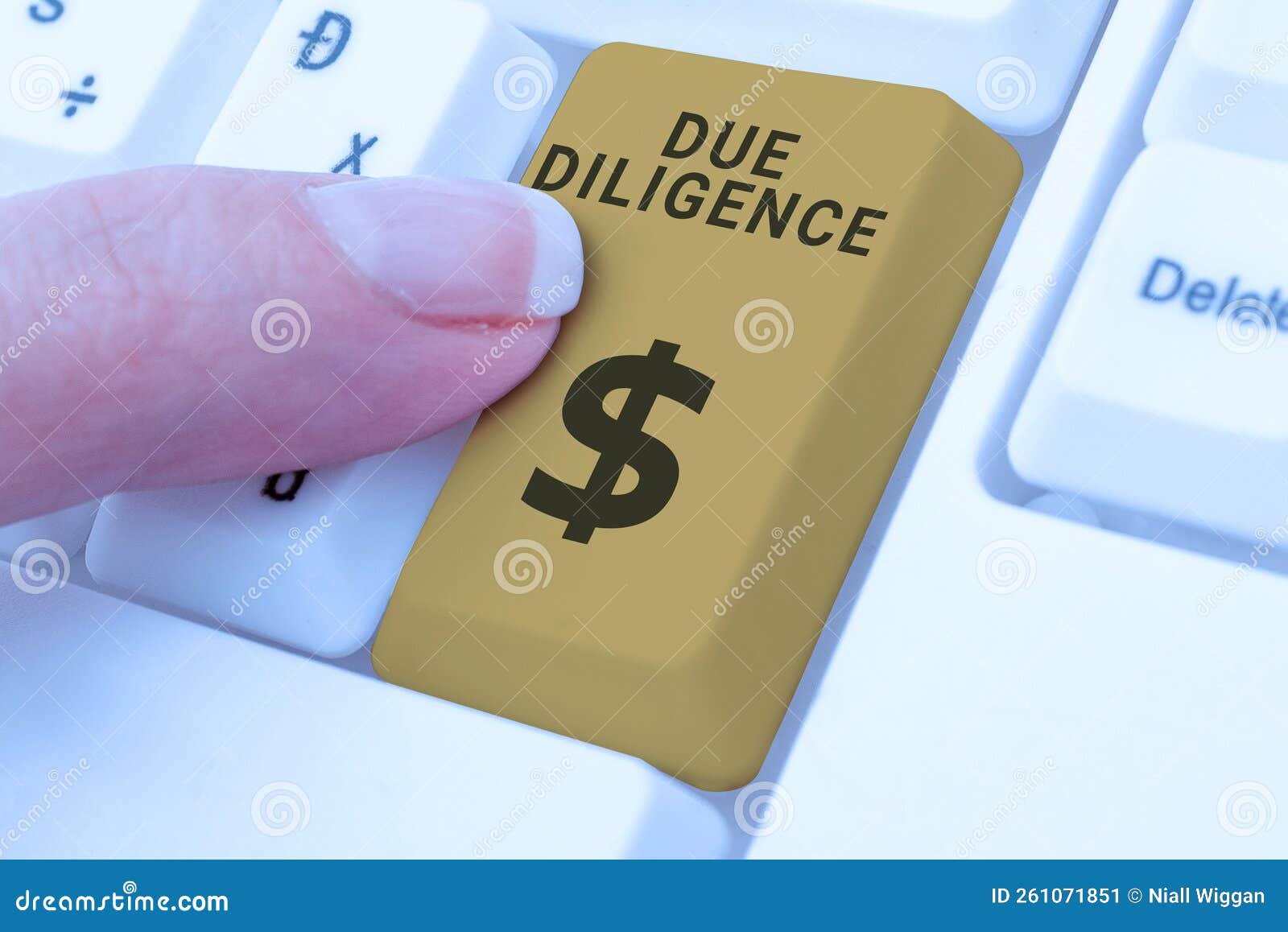 Writing Displaying Text Due Diligence. Business Overview Avoid Harming ... Writing Displaying Text Due Diligence. Business Overview Avoid Harming ...