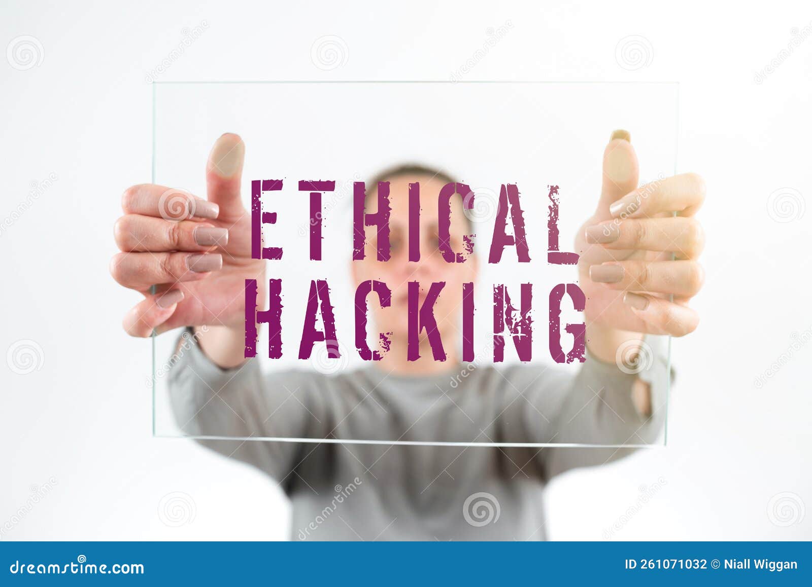 Conceptual Caption Ethical Hacking. Business Showcase a Legal Attempt ...