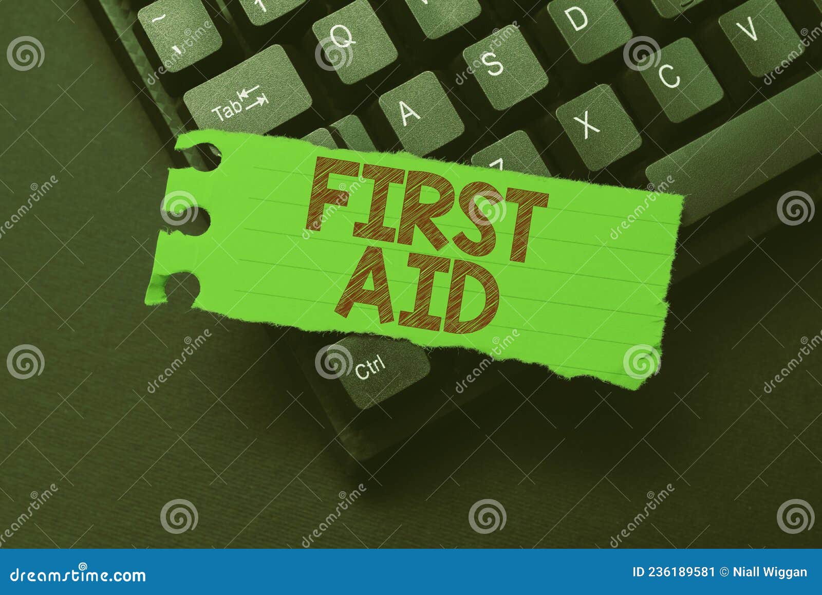 Writing Displaying Text First Aid. Business Showcase Practise of ...