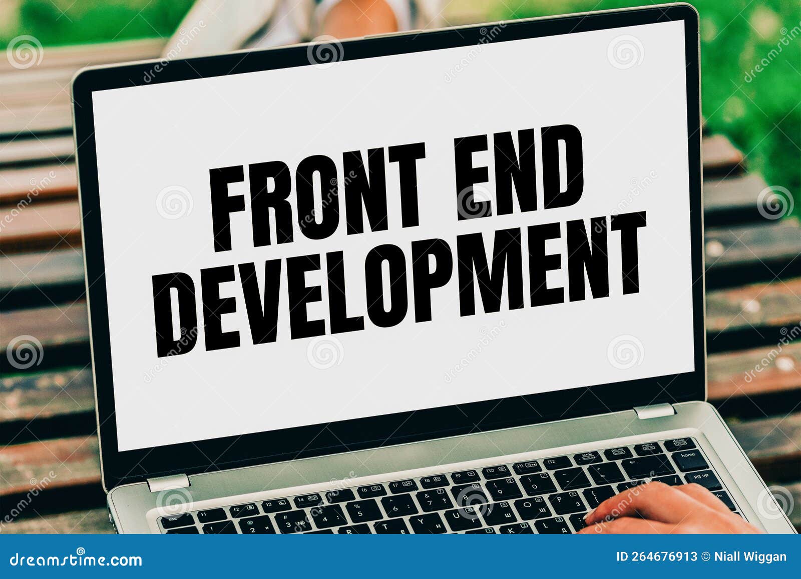 Writing Displaying Text Front End Development. Business Showcase Altering Data To Graphical ...
