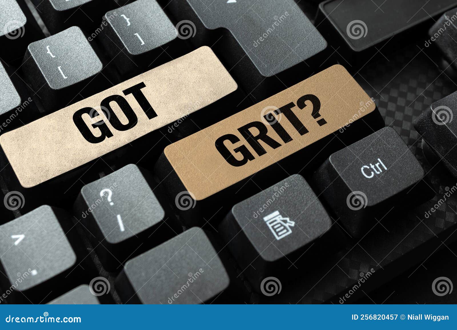 Writing Displaying Text Got Grit Question. Internet Concept a Hardwork ...