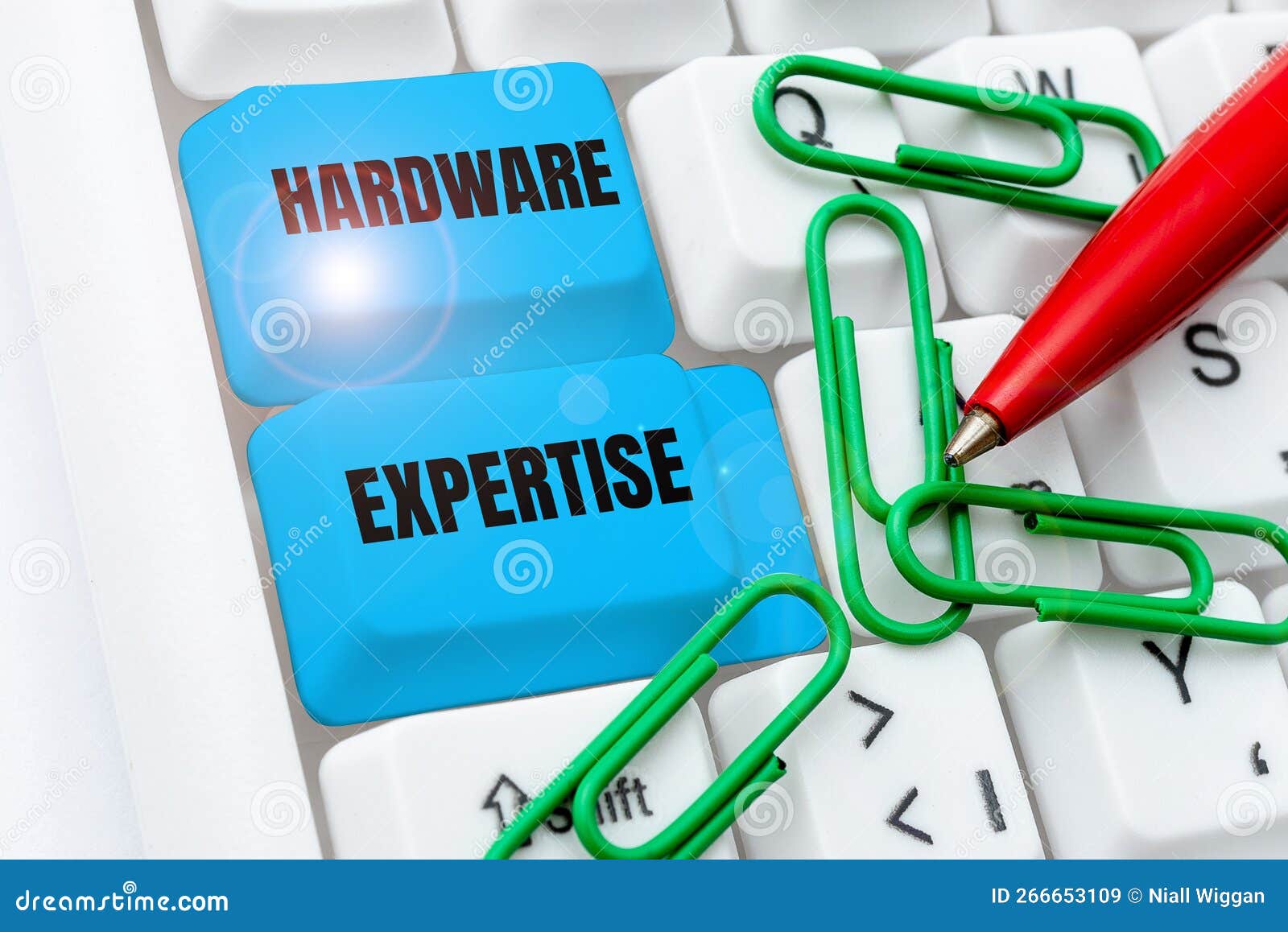 Writing Displaying Text Hardware Expertise. Word for Machines and Other ...