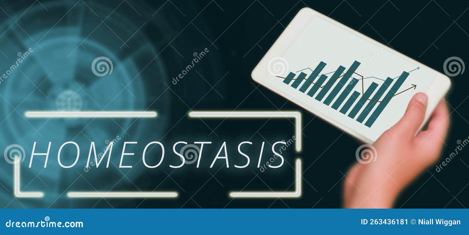 Text Sign Showing Homeostasis. Business Idea the Tendency Toward a ...