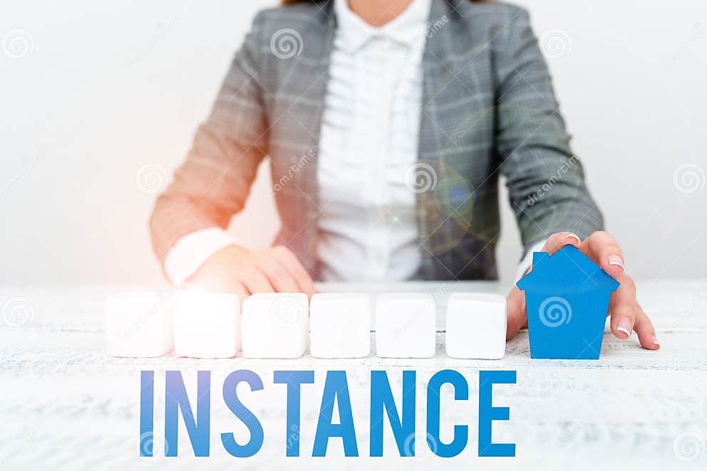 Sign Displaying Instance. Business Idea an Example or Single Occurrence ...