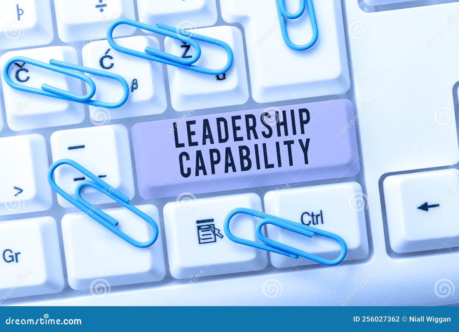 Writing Displaying Text Leadership Capability. Concept Meaning What a ... Writing Displaying Text Leadership Capability. Concept Meaning What a ...