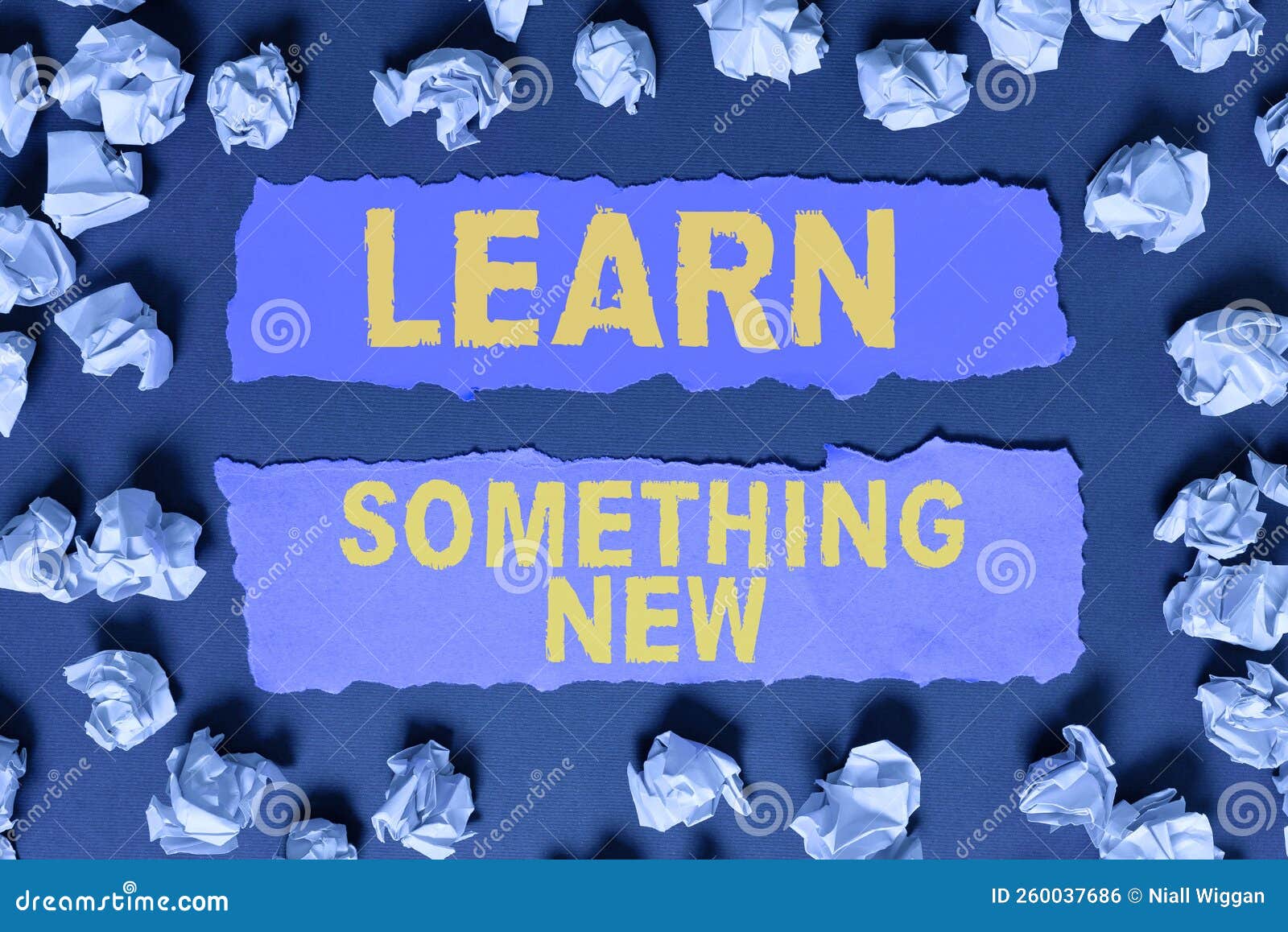 Writing Displaying Text Learn Something New. Business Concept Gain ...