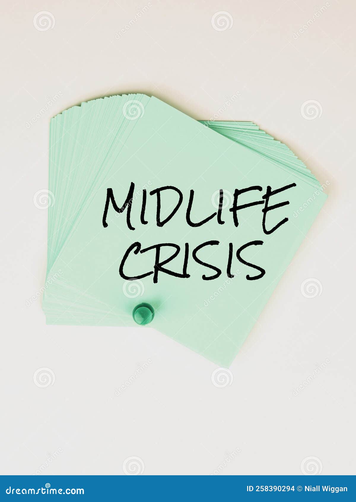 Writing Displaying Text Midlife Crisis. Business Overview Software ... Writing Displaying Text Midlife Crisis. Business Overview Software ...