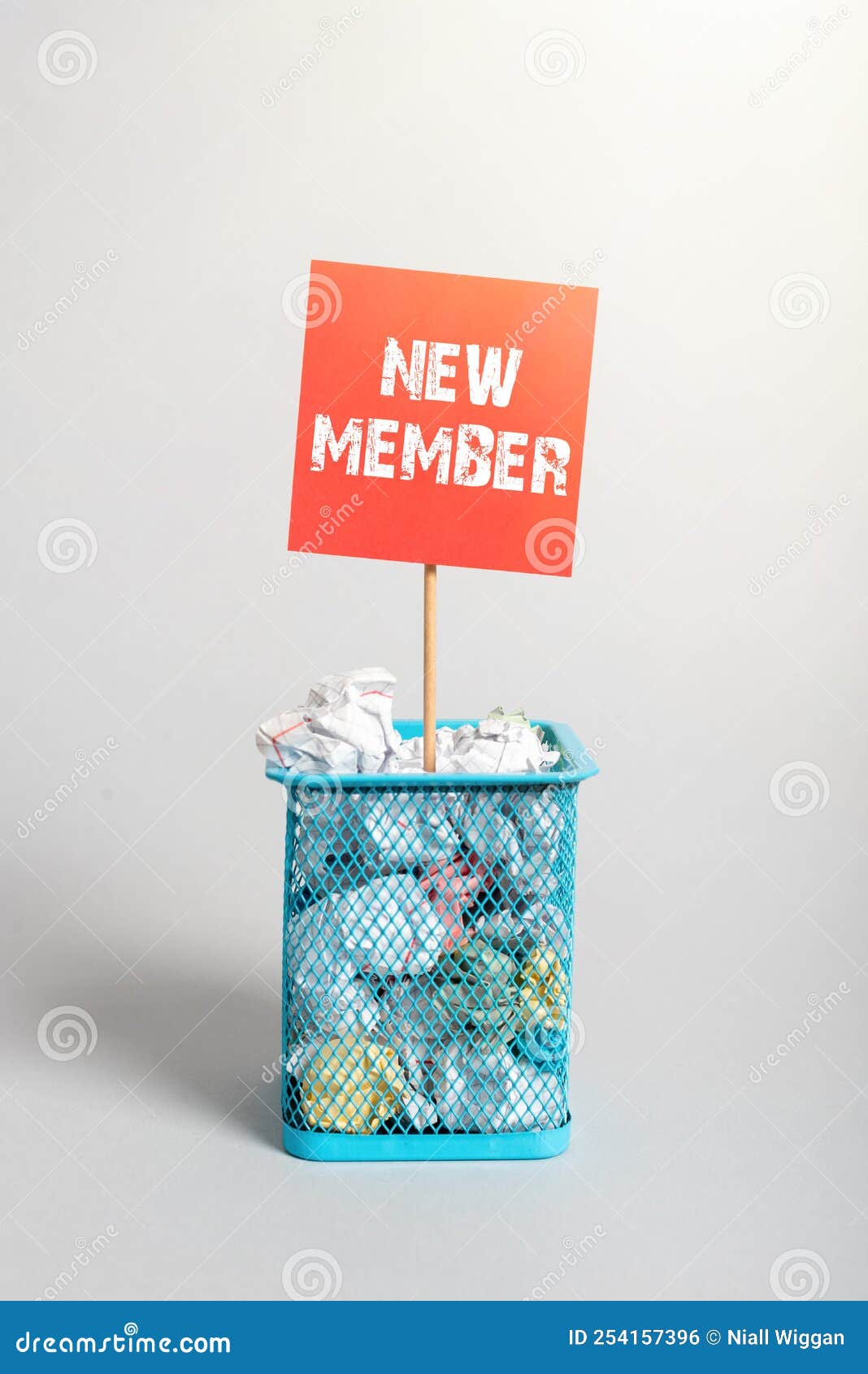 Writing Displaying Text New Member. Business Overview Recruiting ... Writing Displaying Text New Member. Business Overview Recruiting ...