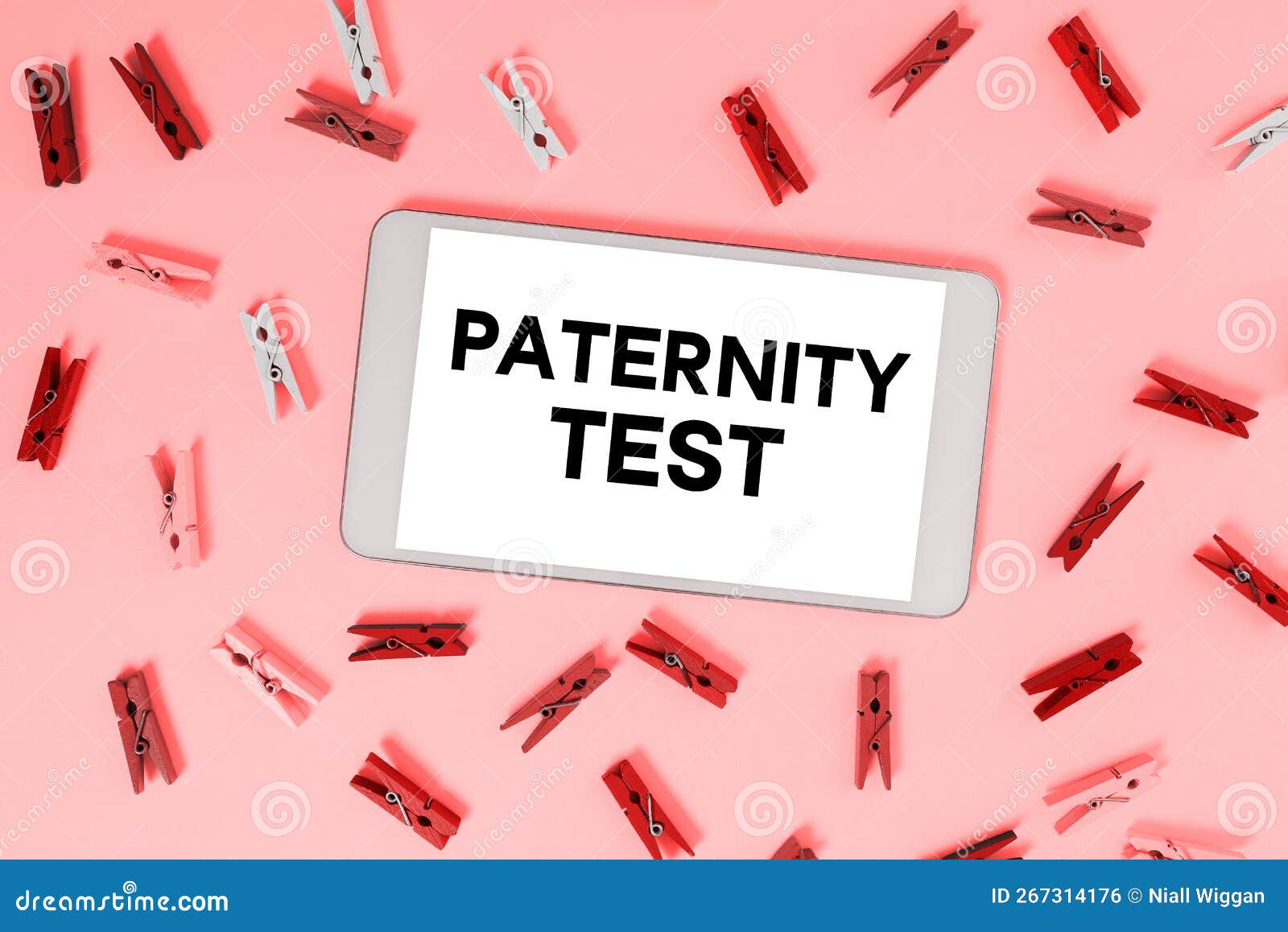 Writing Displaying Text Paternity Test. Internet Concept a Test of DNA ...