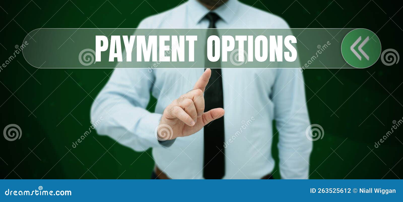 Conceptual Caption Payment Options. Concept Meaning Ways that a ...