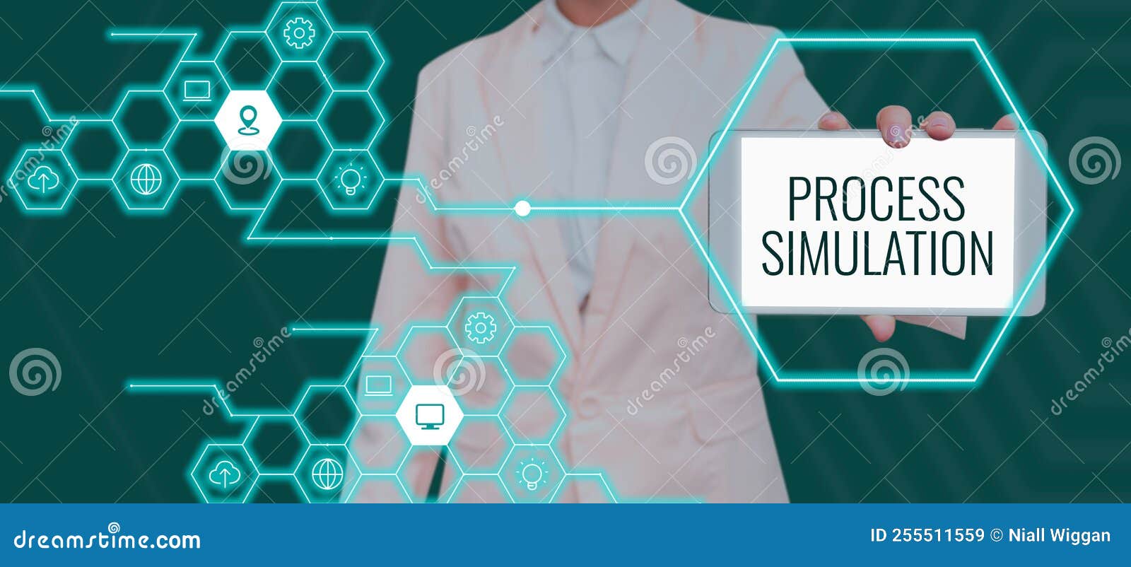 Conceptual Display Process SimulationTechnical Representation ... Conceptual Display Process SimulationTechnical Representation ...