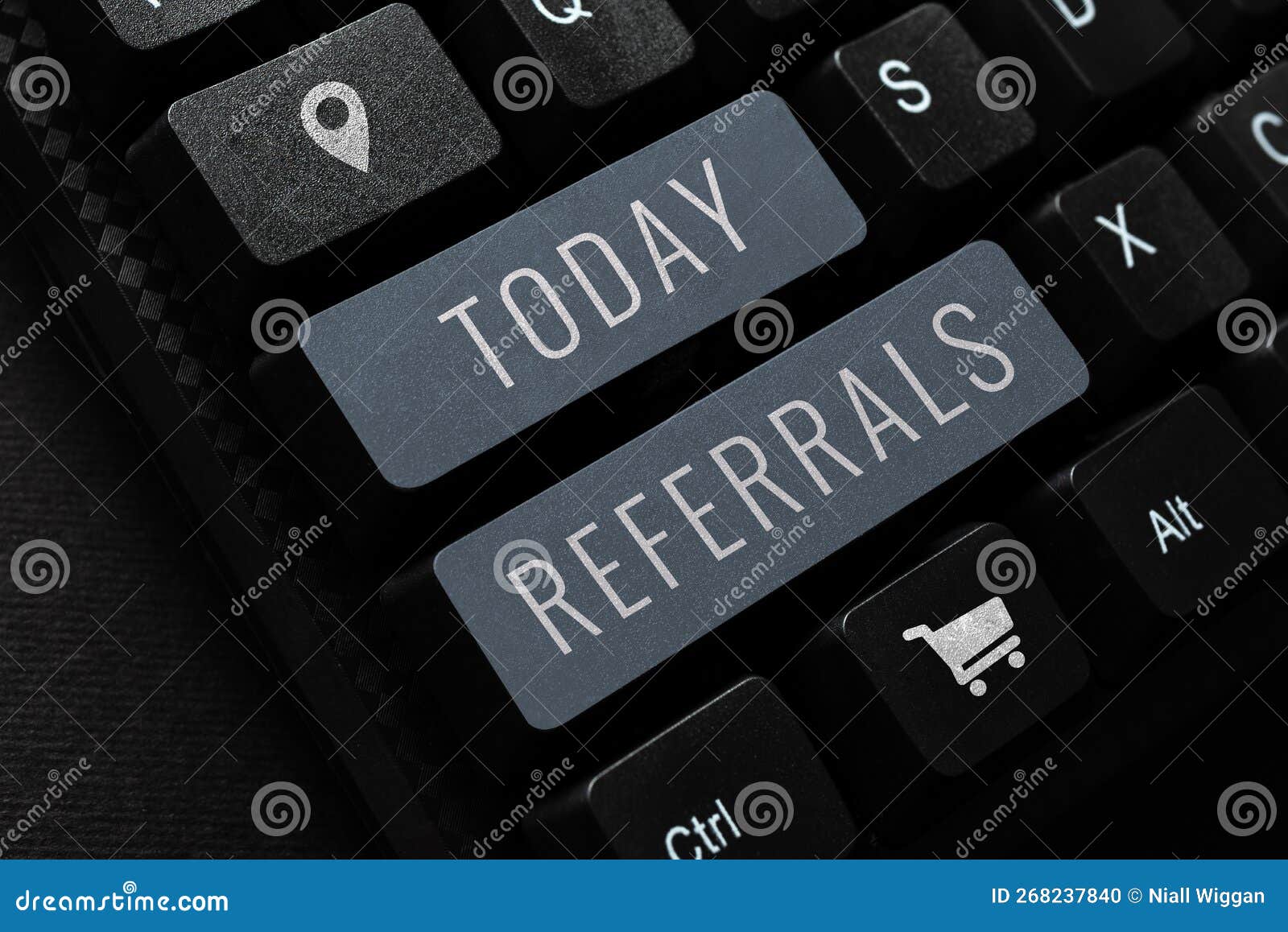 Writing Displaying Text Referrals. Concept Meaning Act of Referring ... Writing Displaying Text Referrals. Concept Meaning Act of Referring ...