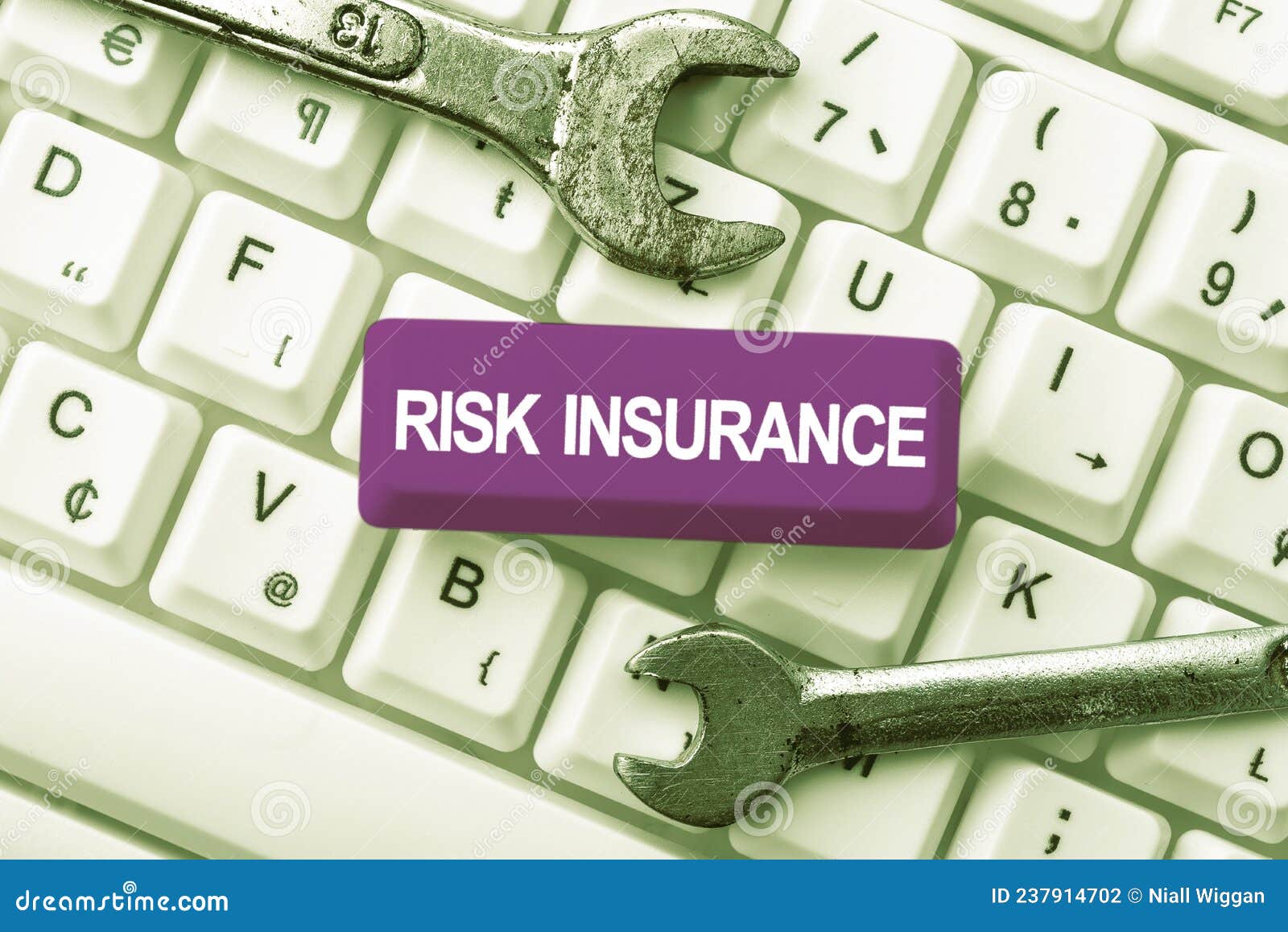 Inspiration Showing Sign Risk Insurance. Business Approach the ...