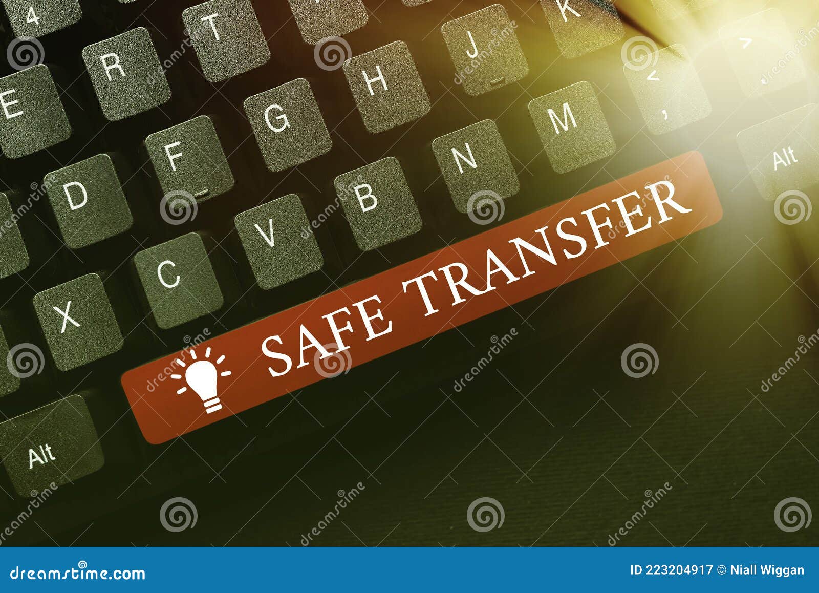 Writing Displaying Text Safe Transfer. Concept Meaning Wire Transfers ...