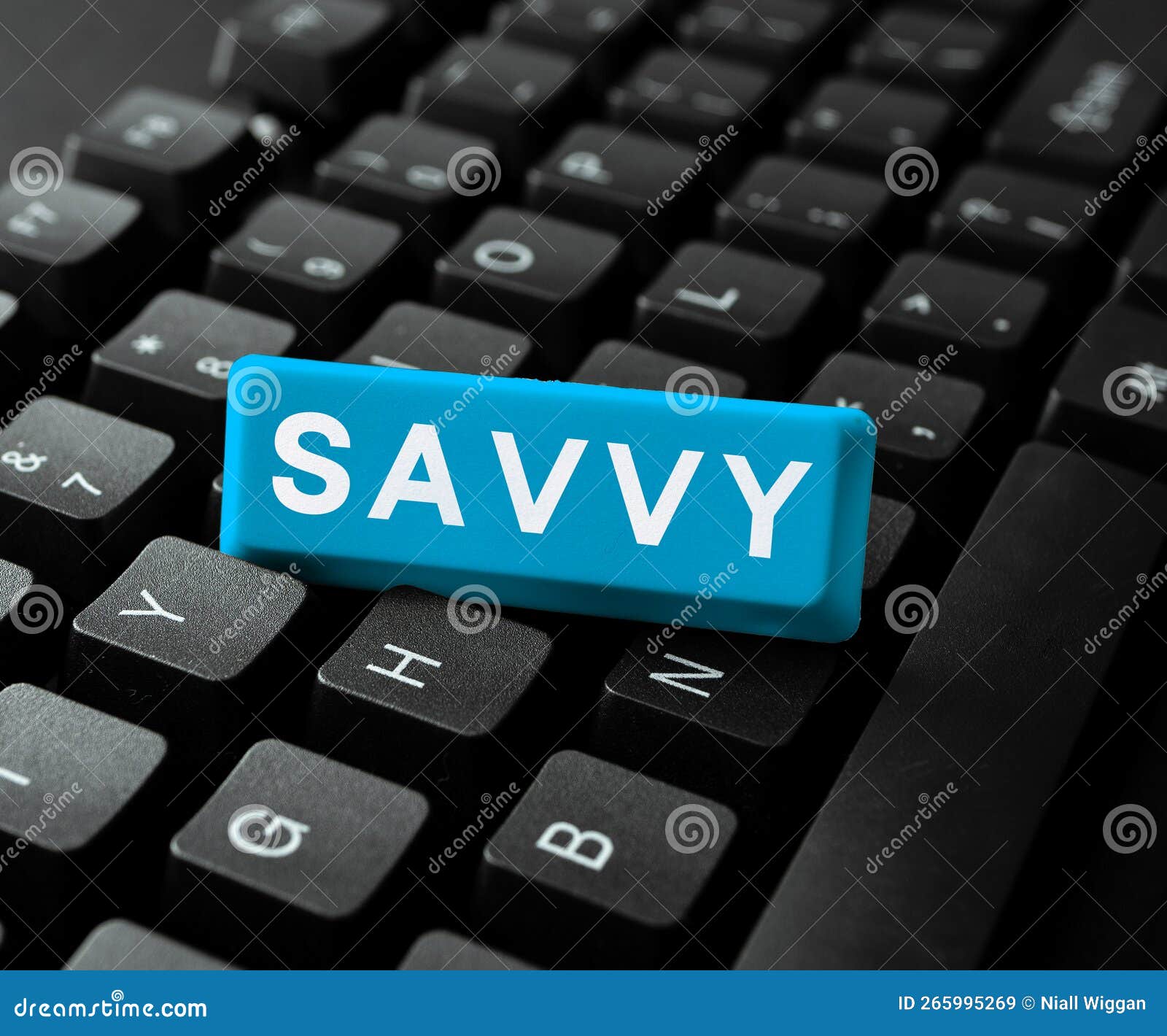 Writing Displaying Text Savvy. Concept Meaning Having Perception ... Writing Displaying Text Savvy. Concept Meaning Having Perception ...