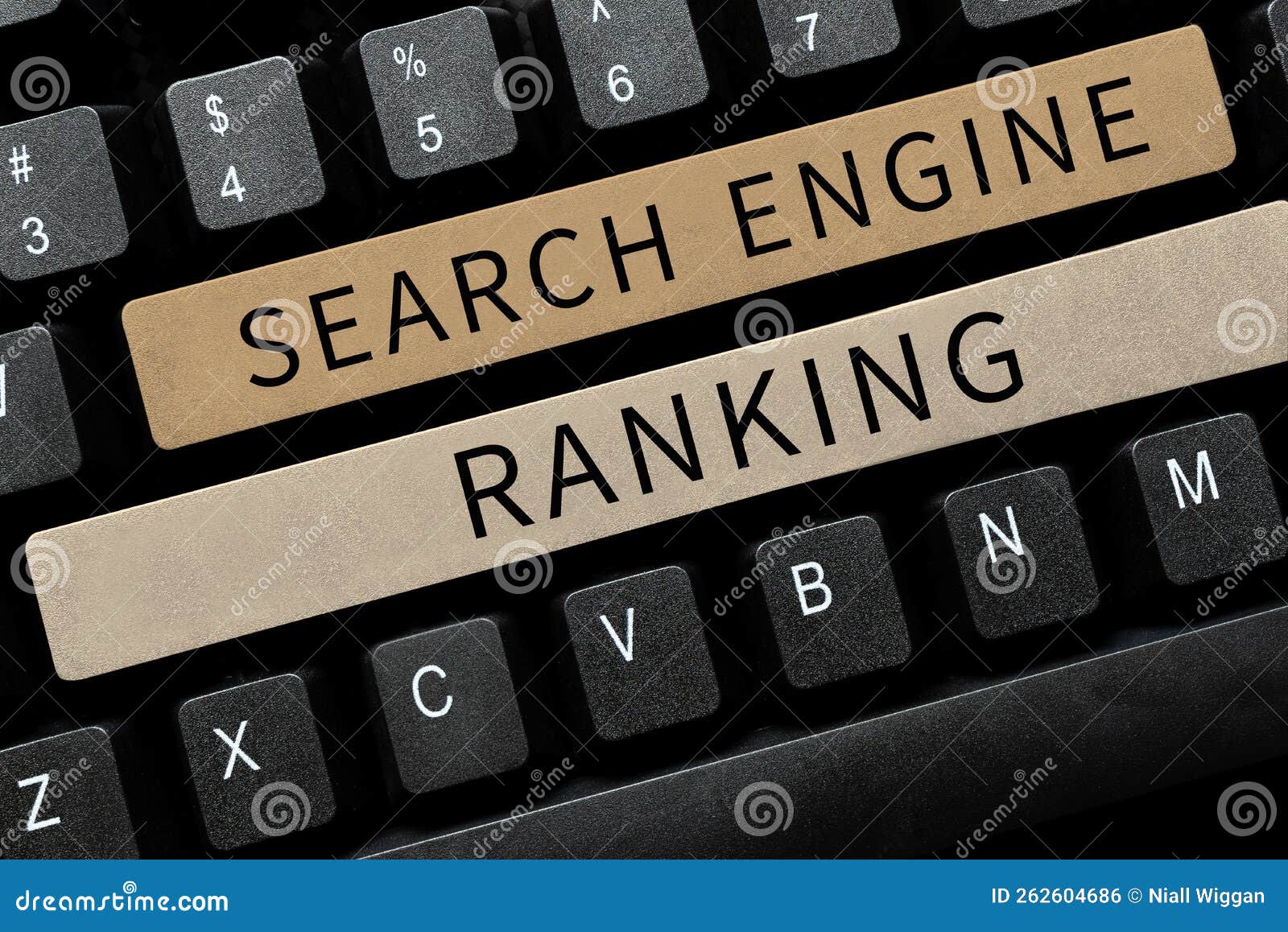 Writing Displaying Text Search Engine Ranking. Business Overview Rank ...