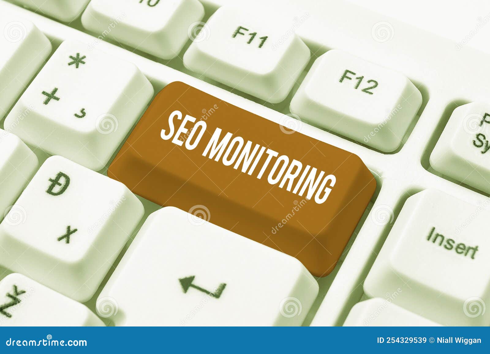 Text Caption Presenting Seo MonitoringTracking the Progress of Strategy ...