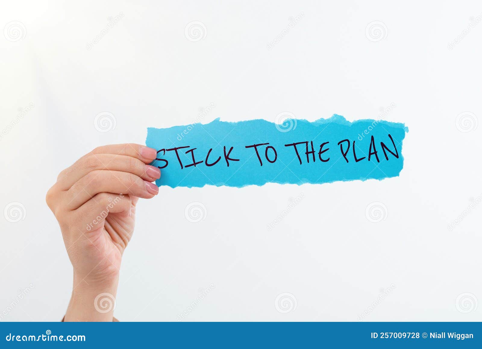 Writing Displaying Text Stick To the PlanTo Adhere To Some Plan and Not ...