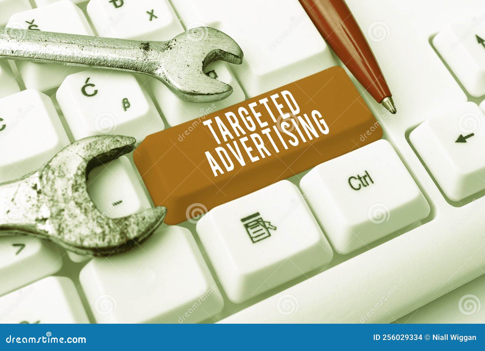 Text Showing Inspiration Targeted Advertising. Business Overview Online ...