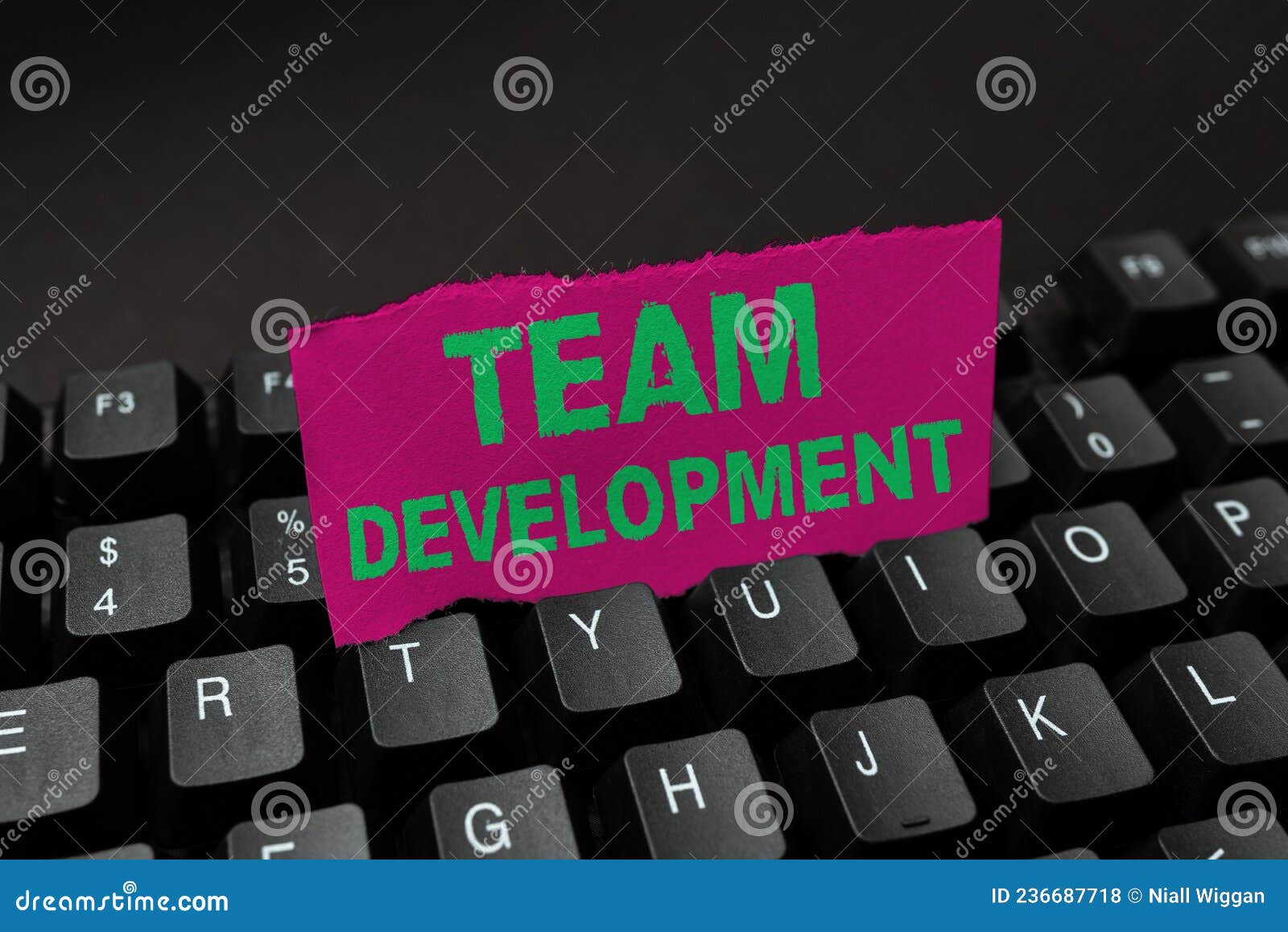 Writing Displaying Text Team Development. Word Written on Learn Why and ...