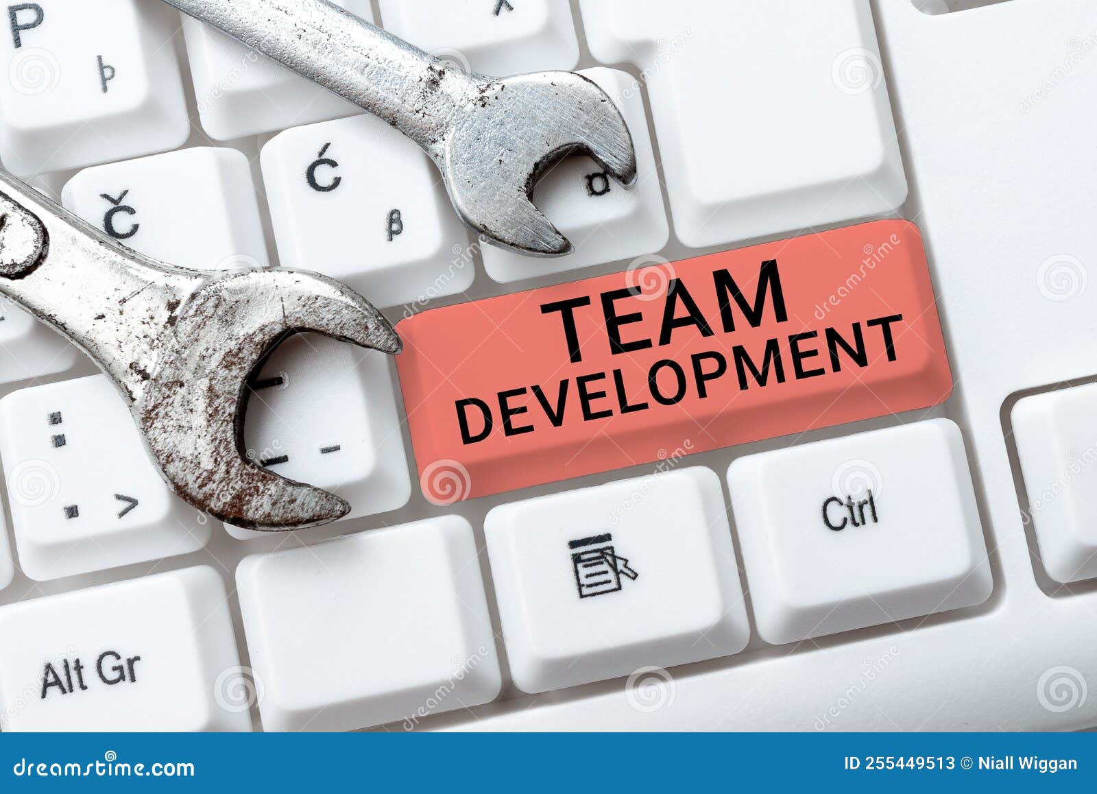 Conceptual Display Team Developmentlearn Why and How Small Groups Change Over Time with Graphs ...