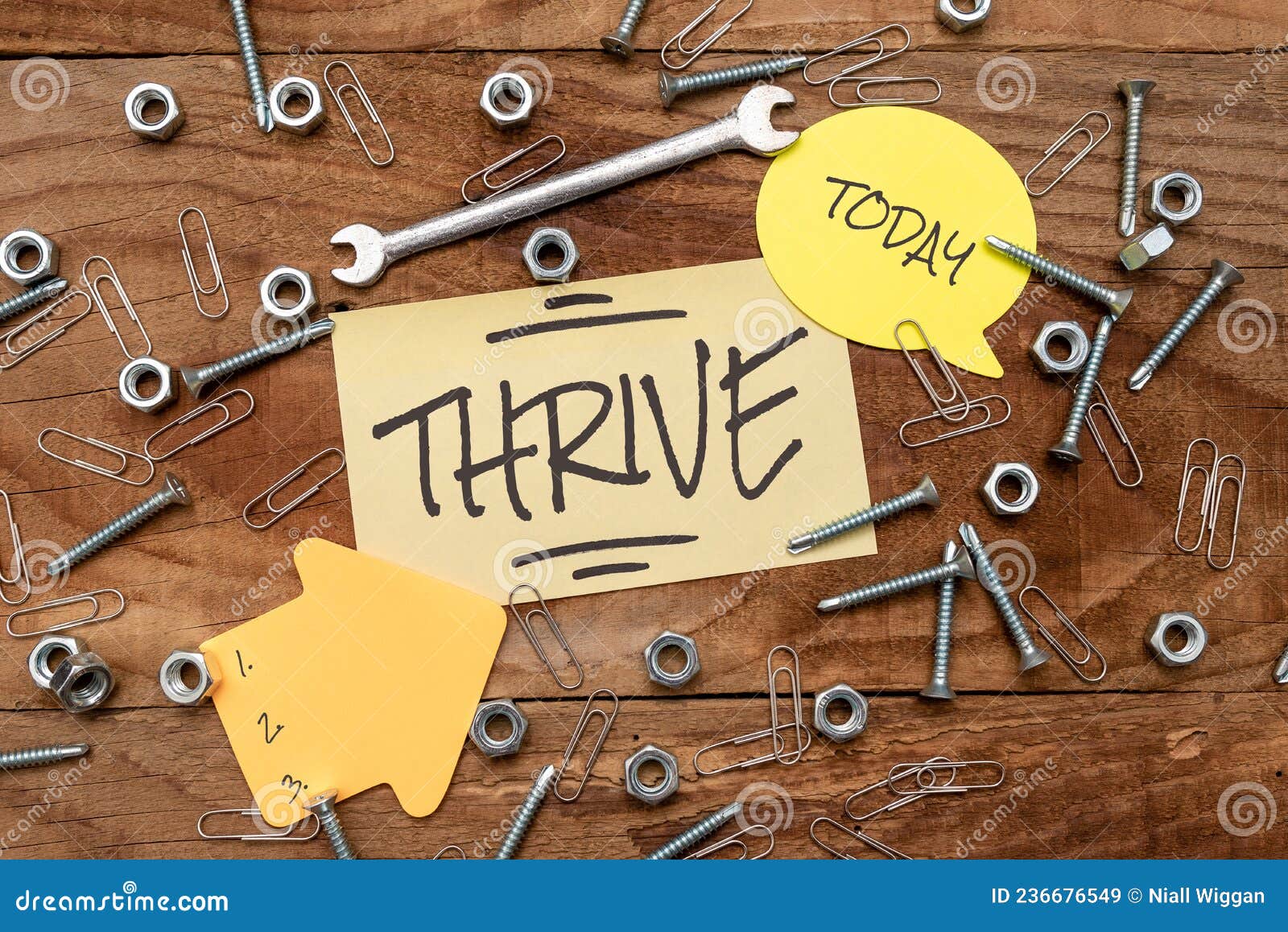 Writing Displaying Text Thrive. Word for Think Positively Continue To ... Writing Displaying Text Thrive. Word for Think Positively Continue To ...
