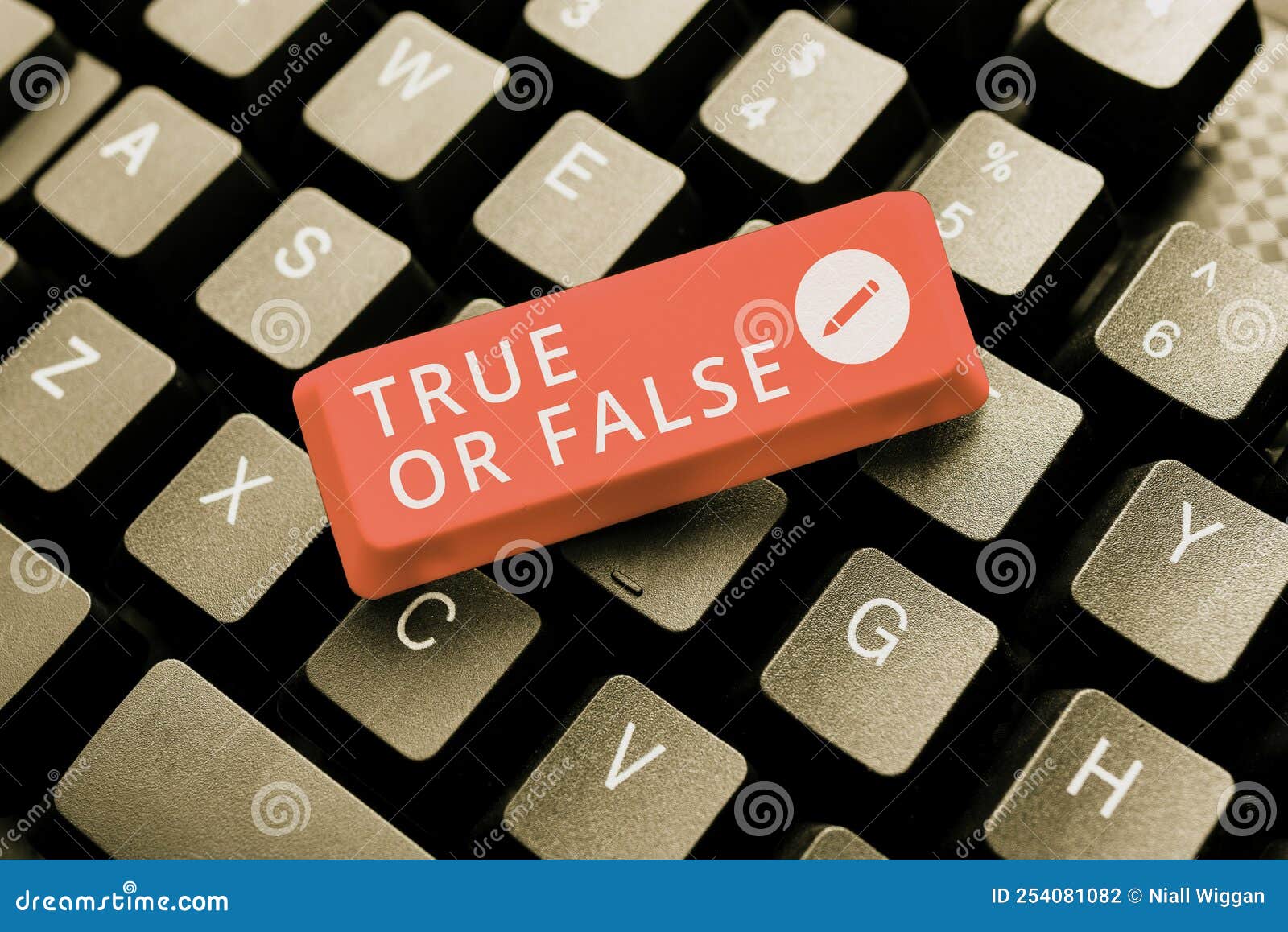 Handwriting Text True or False. Conceptual Photo Decide between a Fact ...