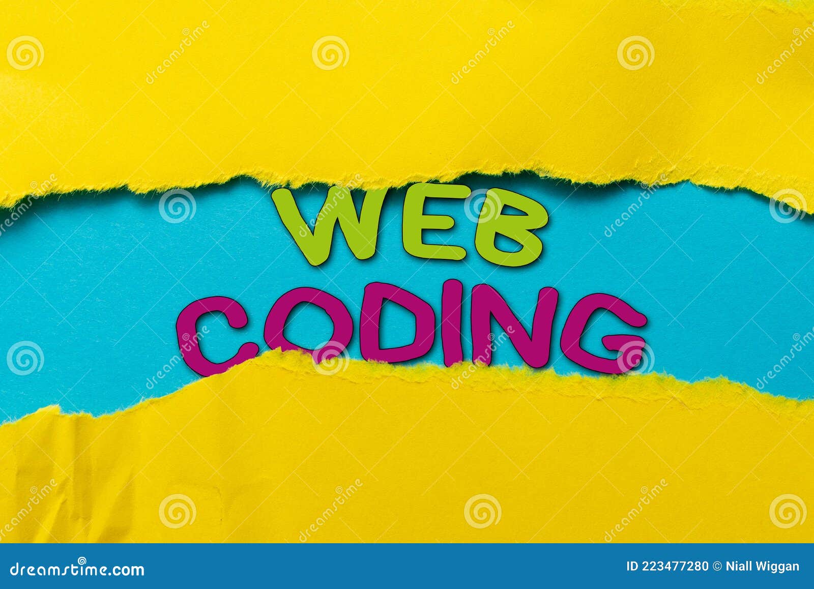 Writing Displaying Text Web Coding Business Overview A System Of 0517