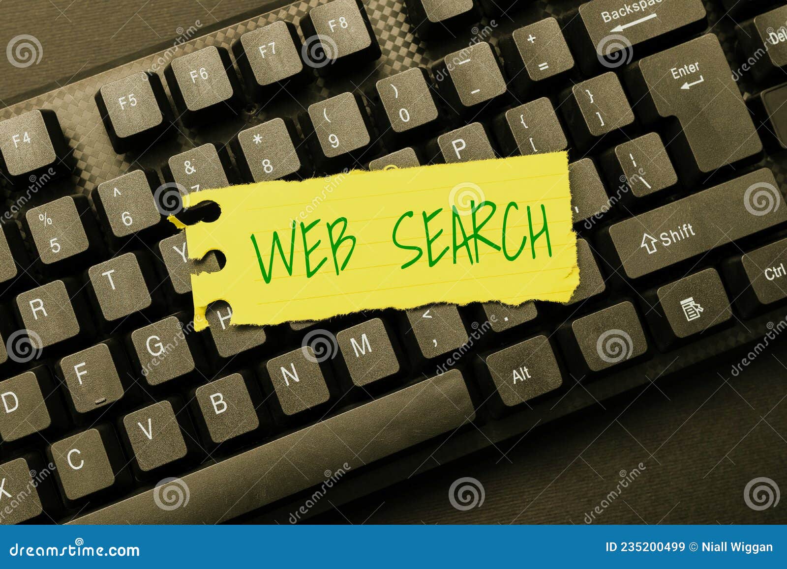 Writing Displaying Text Web Search. Business Concept Software System ...