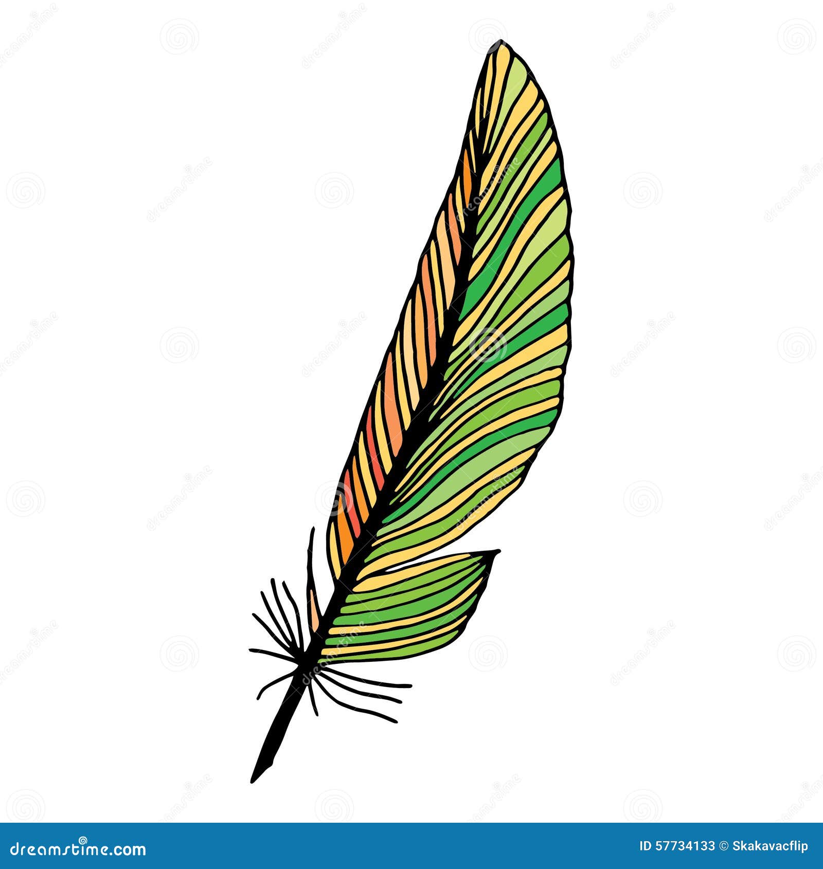 Writing feather stock vector. Illustration of creative - 57734133