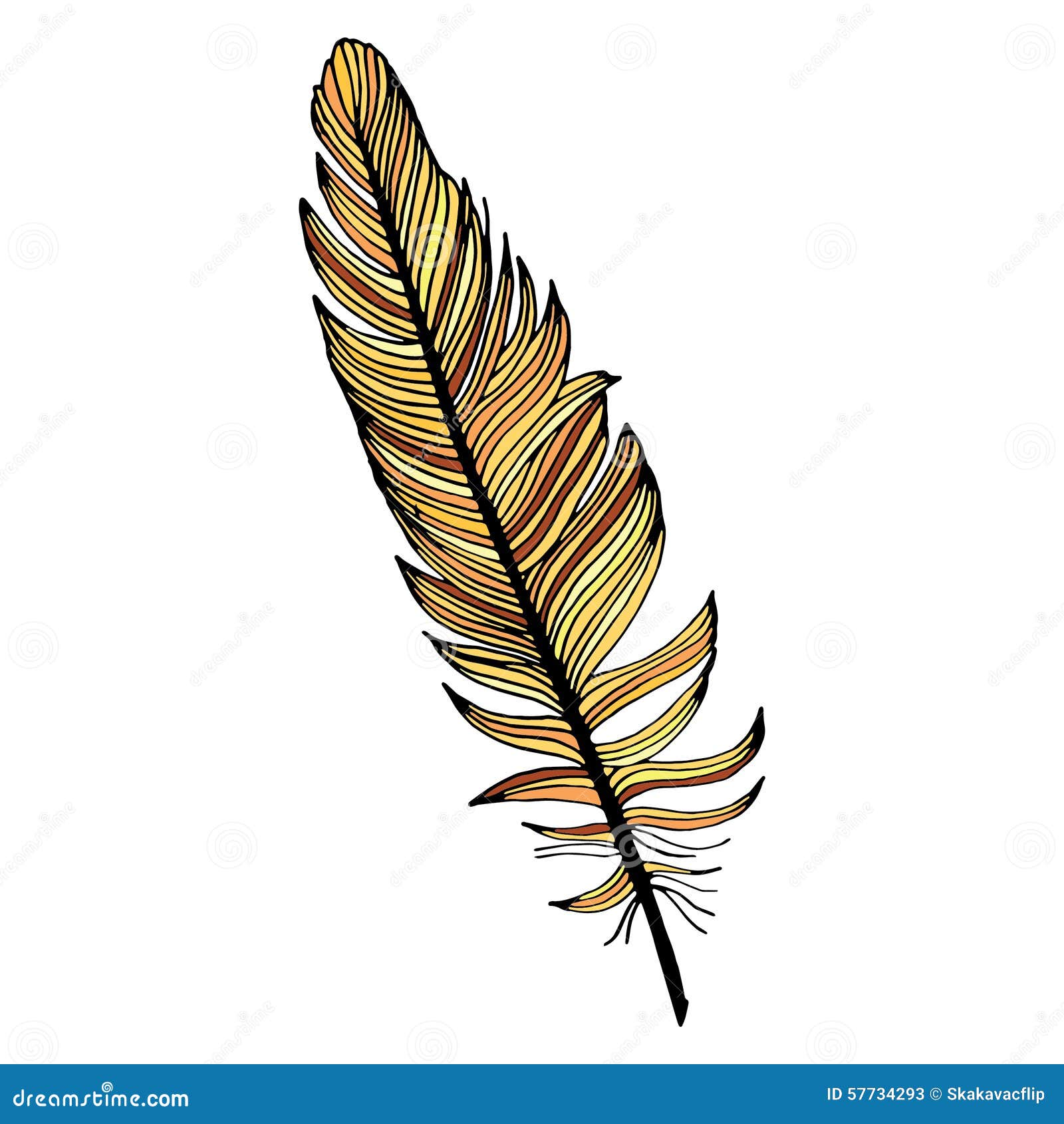 Writing feather stock vector. Illustration of element - 57734293
