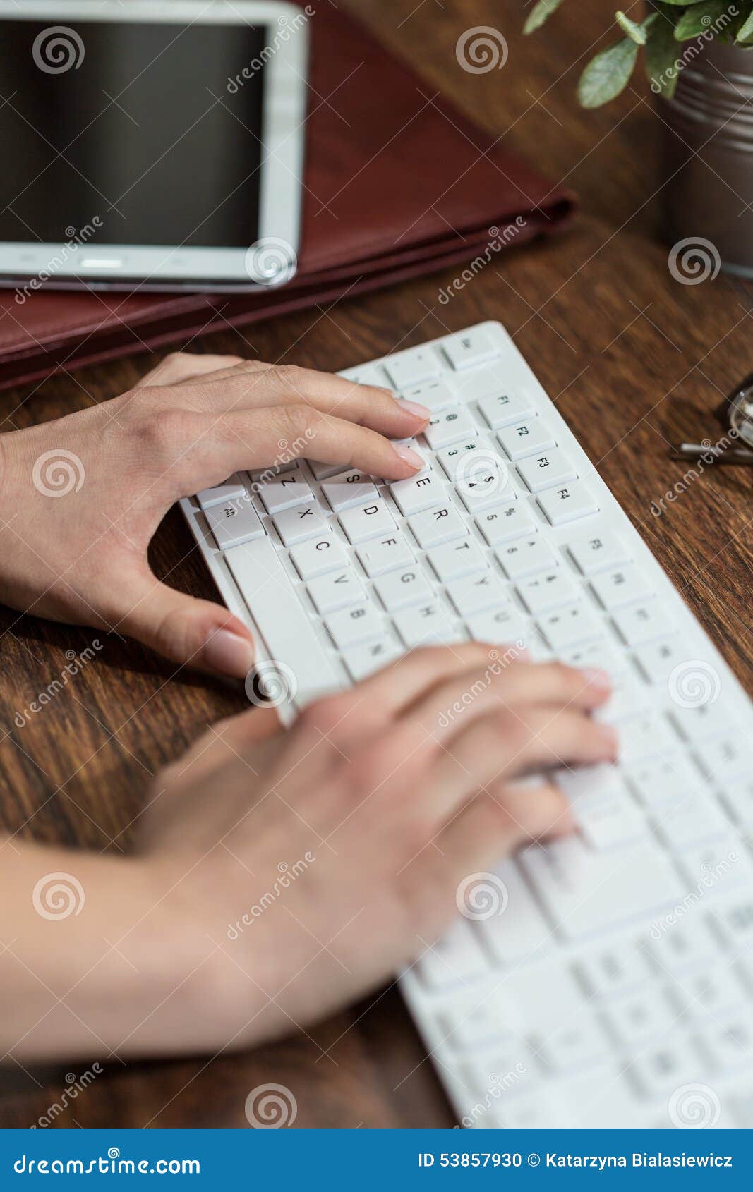 Writing on keyboard stock photo. Image of keyboard, female - 53857930