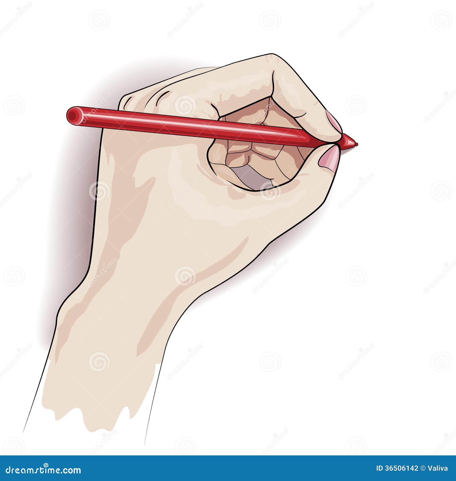Left Hand Full Posterior Dorsal View Royalty-Free Stock Image ...