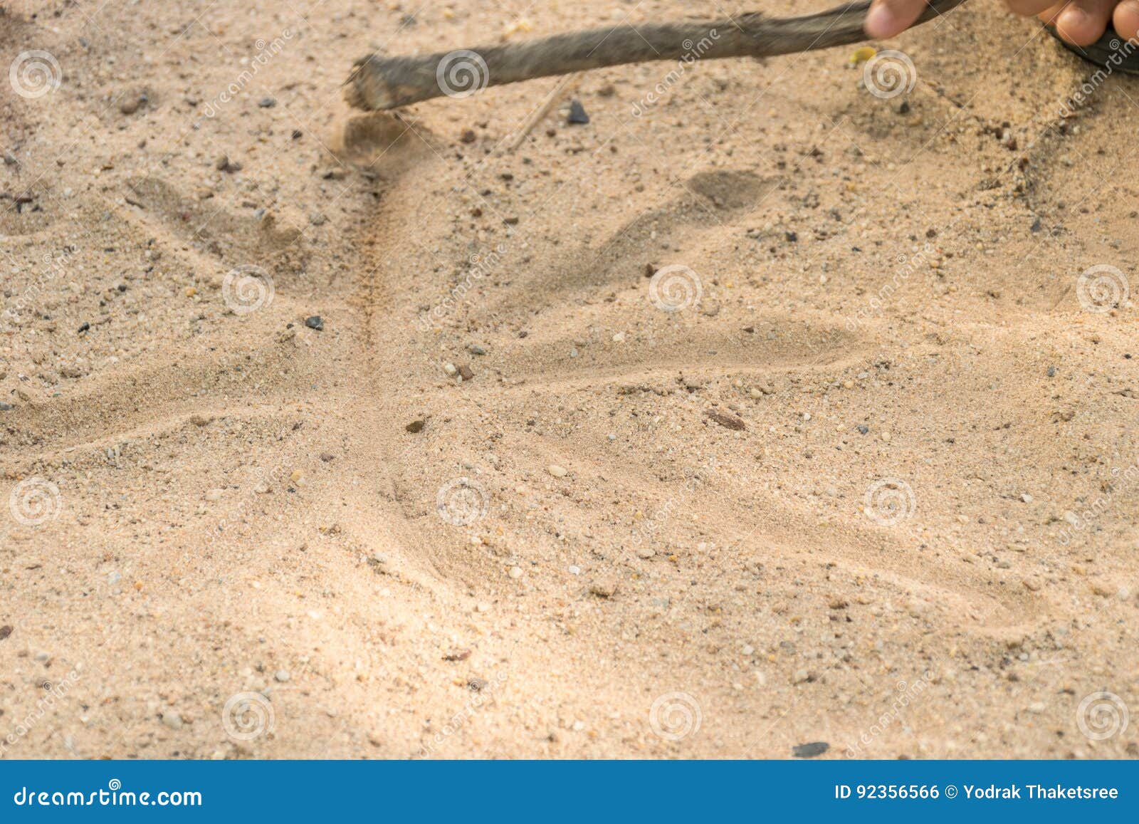 Writing on soil background stock photo. Image of nature - 92356566