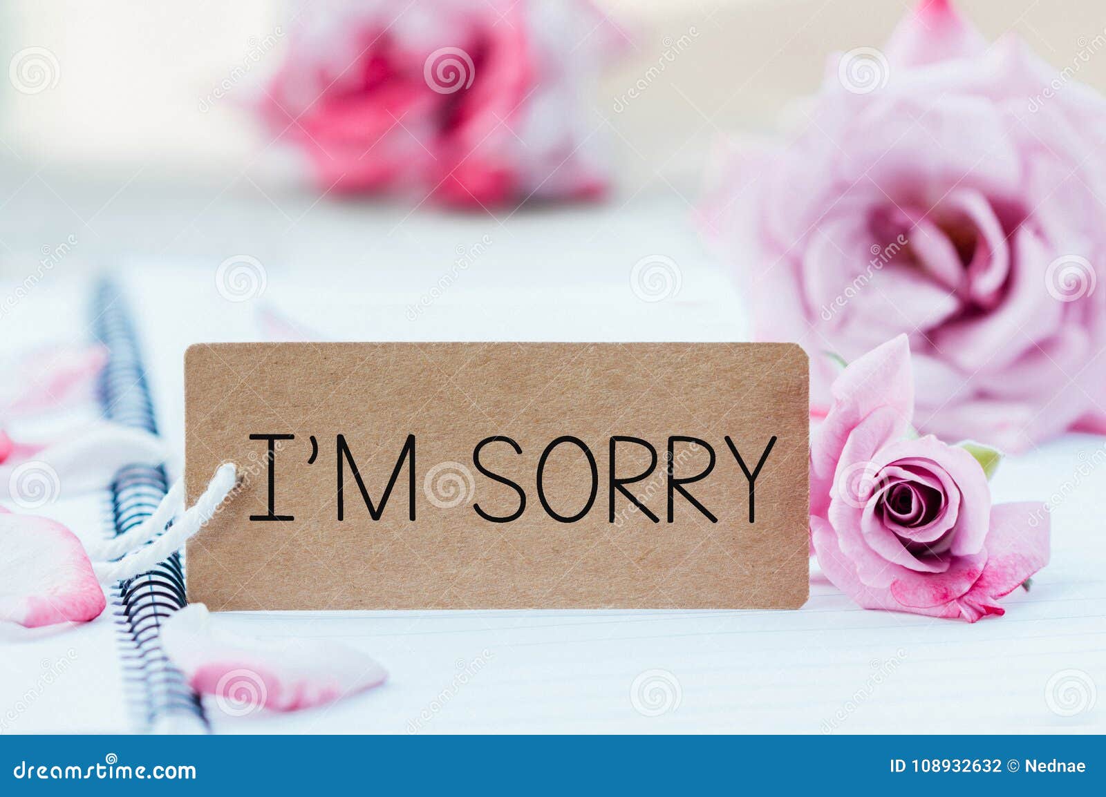 Writing sorry on card stock photo. Image of brown, meaning - 108932632
