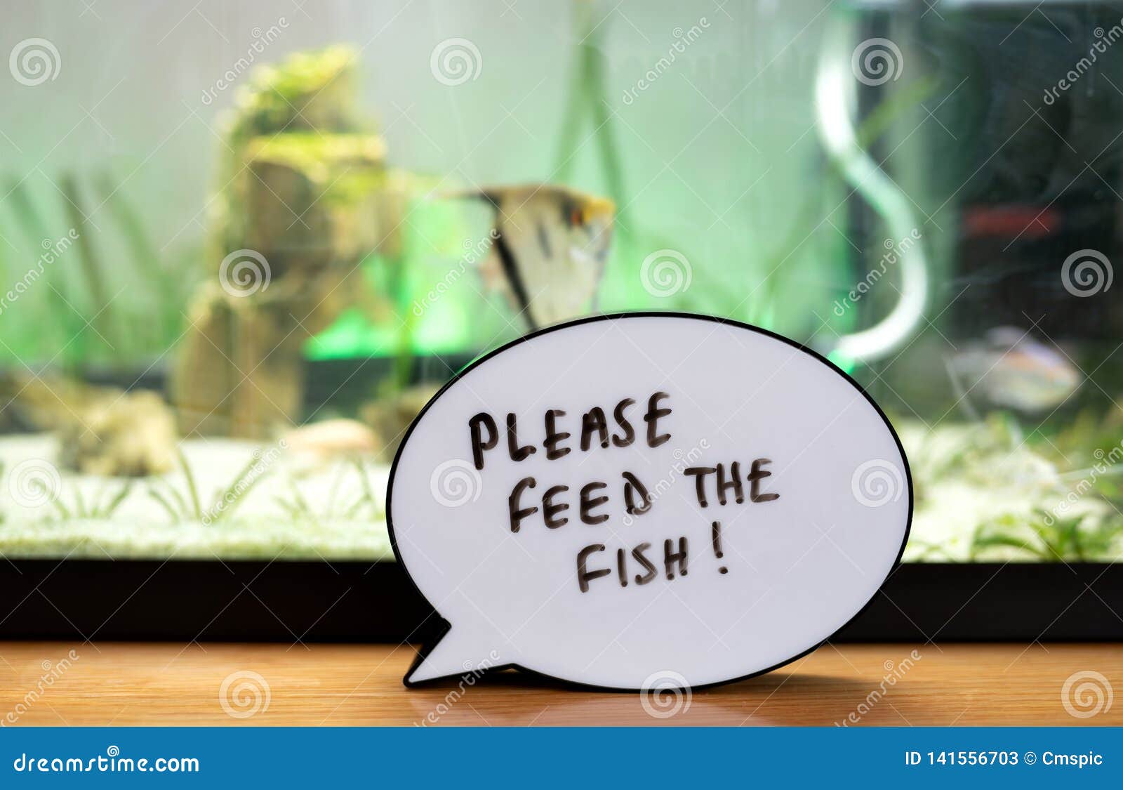 Written Reminder To Please Feed the Fish Stock Image - Image of memo ...