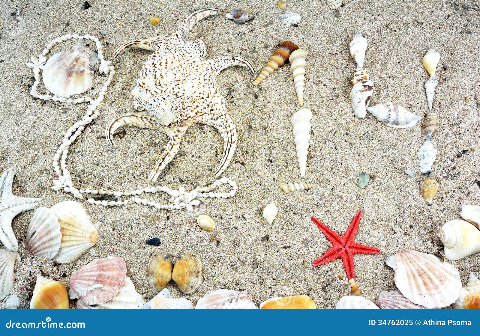 2014 written by sea shells stock image. Image of party - 34762025