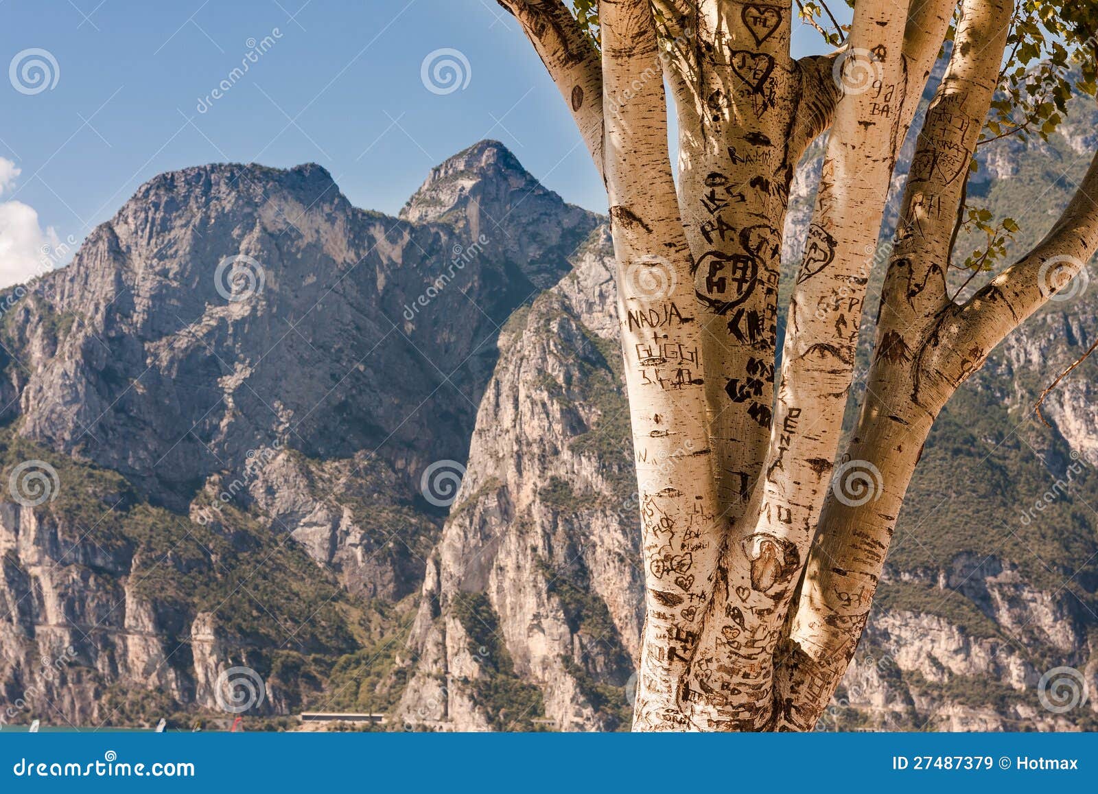 Written Tree stock image. Image of garda, recordings - 27487379