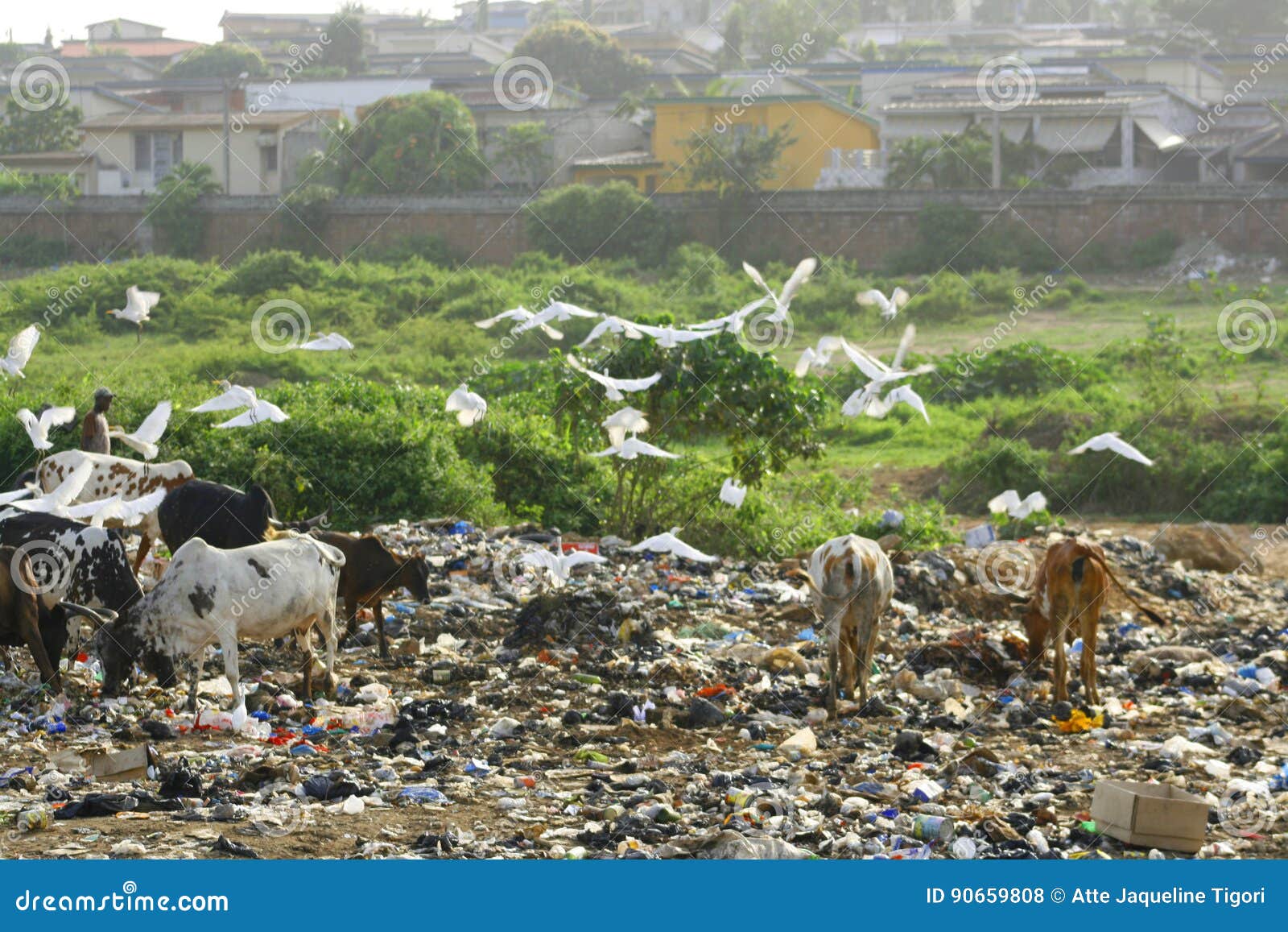 WRONG DISPOSAL of WASTE stock photo. Image of wrong, source - 90659808