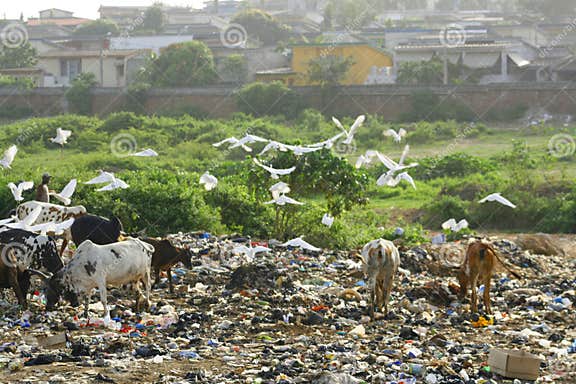 WRONG DISPOSAL of WASTE stock photo. Image of wrong, source - 90659808