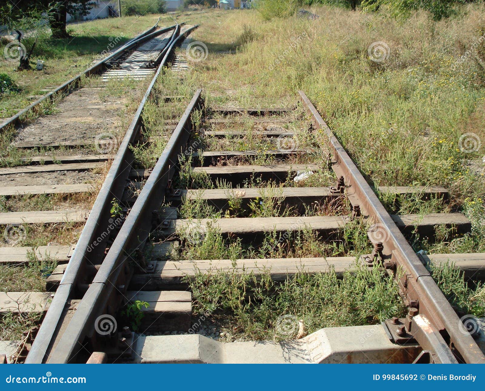 Wrong path stock photo. Image of nature, track, junction - 99845692