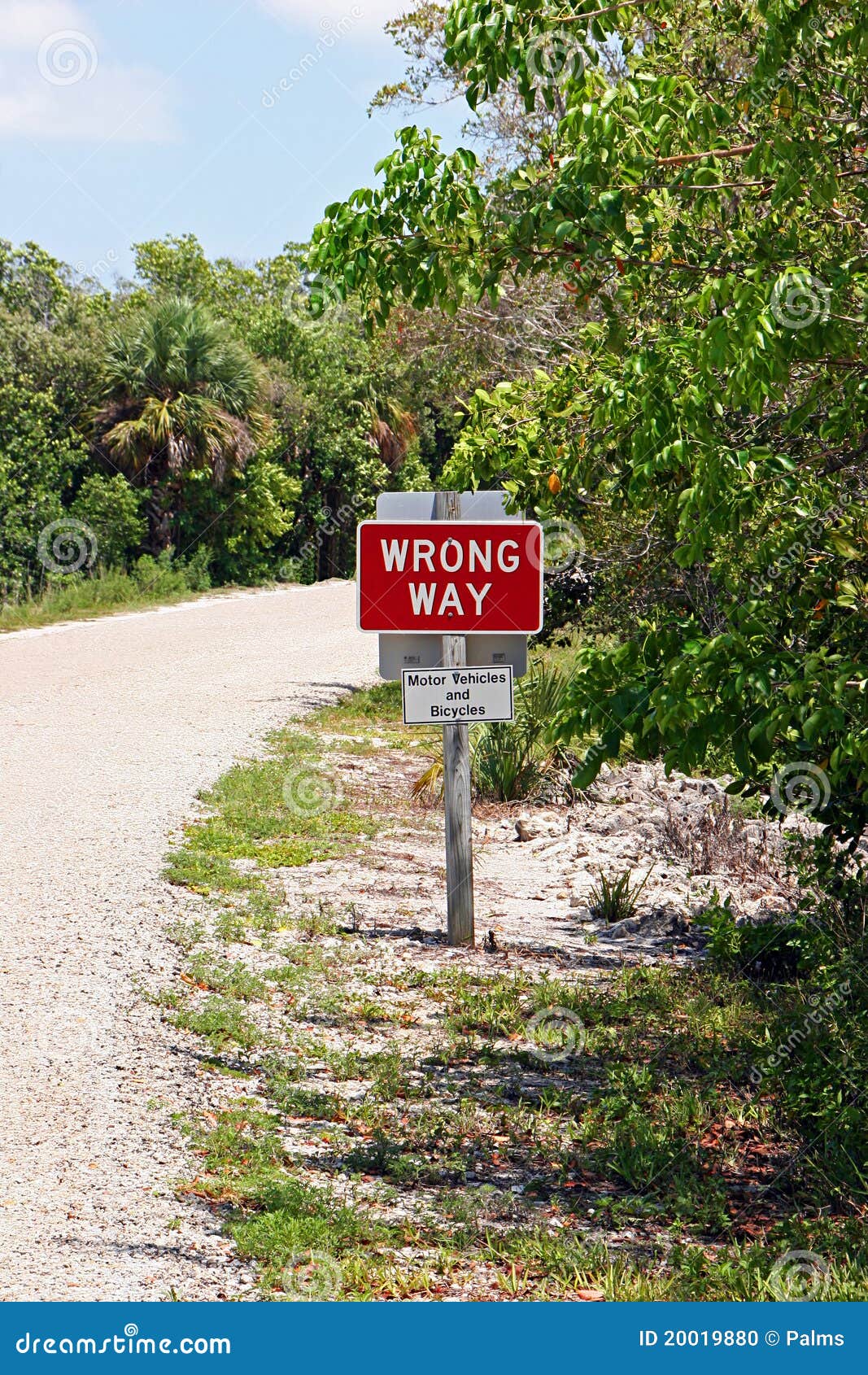 Wrong way sign in park stock photo. Image of sign, greenery - 20019880
