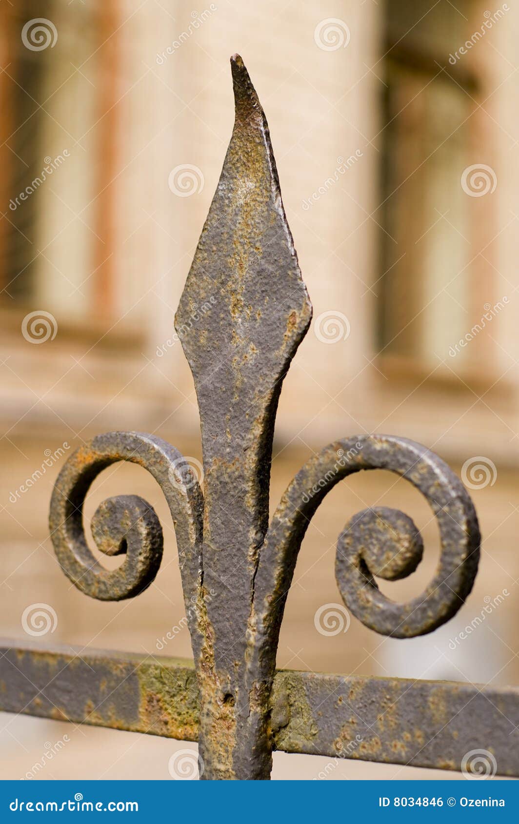Wrought iron. stock photo. Image of shield, yellow, ornament - 8034846