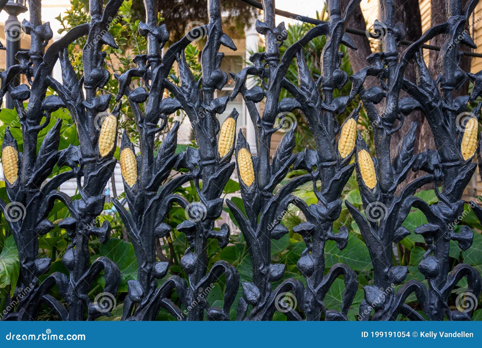 Wrought Iron Corn Fence stock photo. Image of husks - 199191054