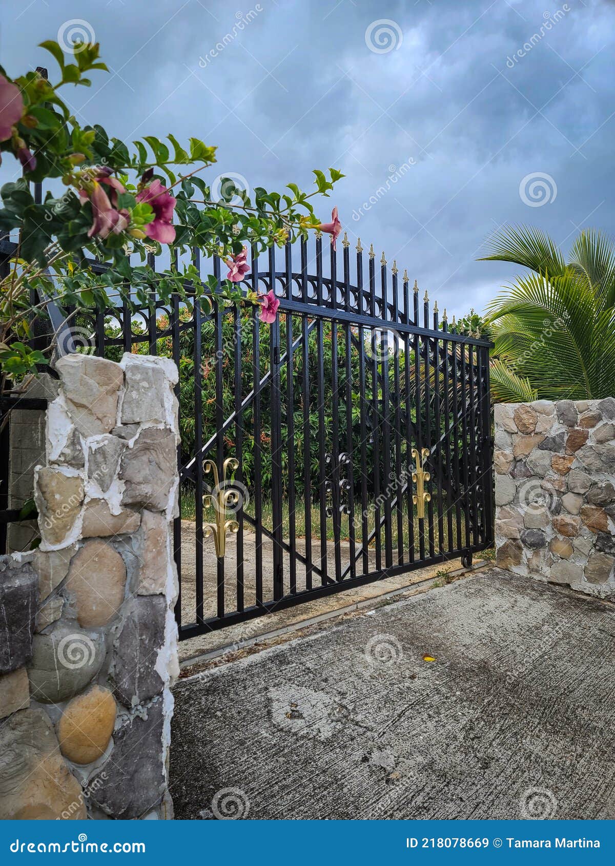 Wrought Iron Gate with Flowers Stock Image - Image of ruins, wall ...